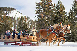 West Yellowstone Montana Sleigh Rides - AllTrips