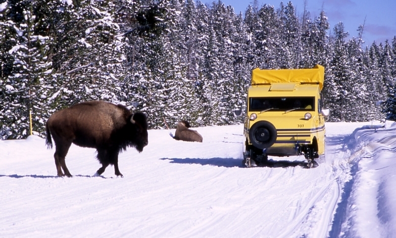 West Yellowstone Montana Snow Coach Winter Tours - AllTrips